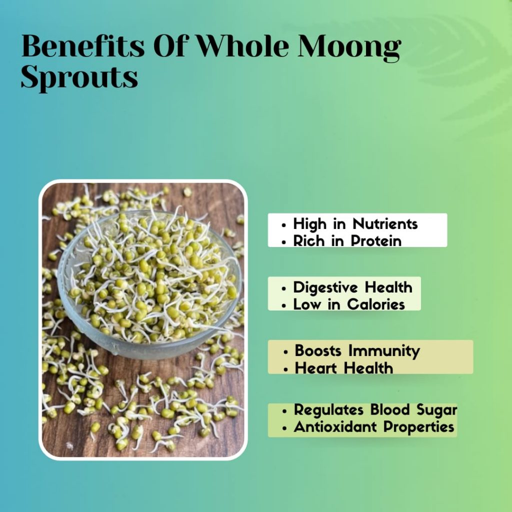 Dehydrated Whole Moong Sprout – Mads Food